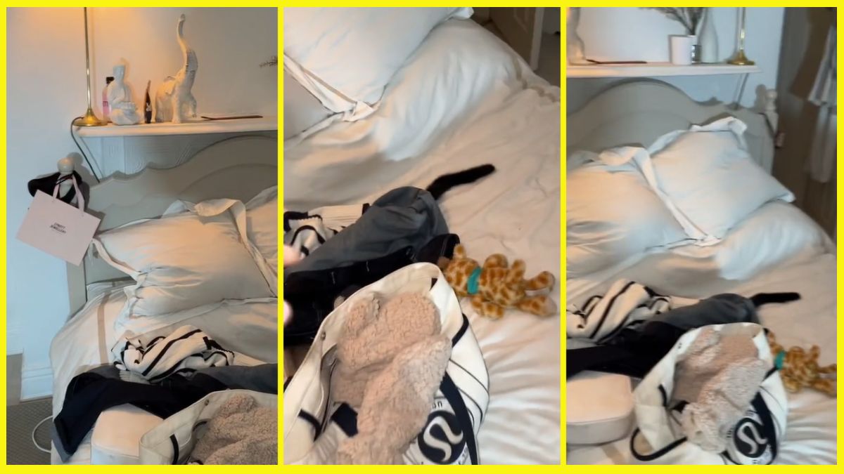 'I BEG YOUR FINEST PARDON????': A cat mom is in for a shocking surprise ...