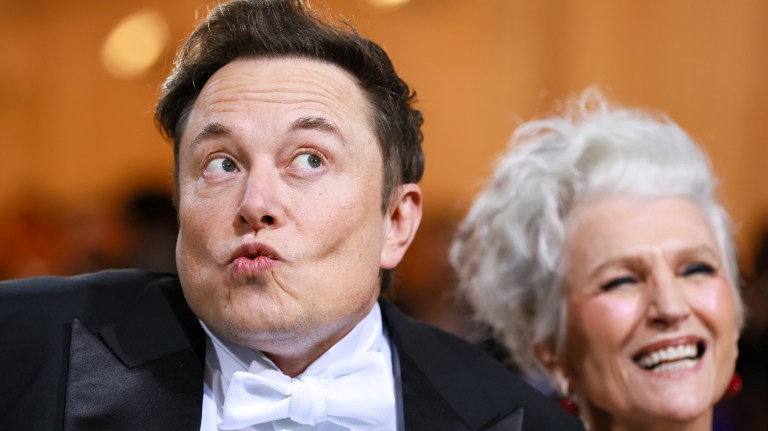 ‘DEI woke bull—-‘: Elon Musk can’t handle playing video games anymore ...