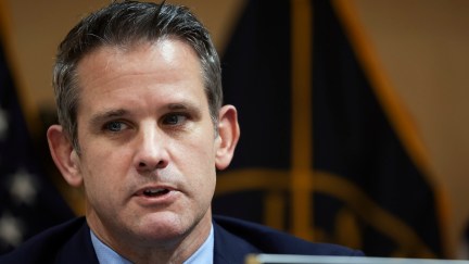 'To all who support': Adam Kinzinger tears into GOP and Trump in savage ...