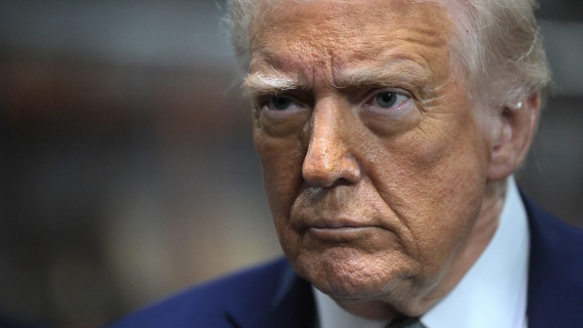 Adam Kinzinger mocks 'dream team' Trump and Musk over embarrassing ...