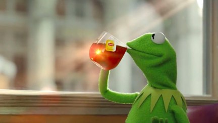 Fox News is so mad that...Kermit the Frog did a commencement speech ...