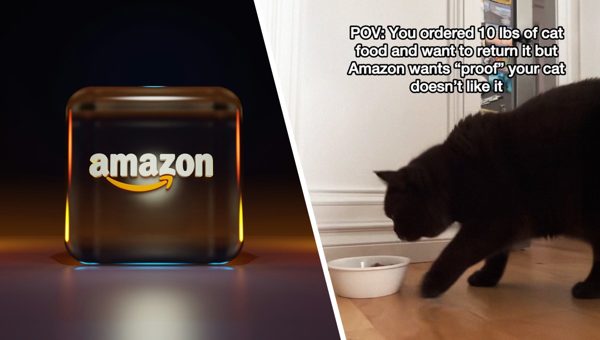 ‘Here’s your proof’: Customer wants to return cat food to Amazon. But ...