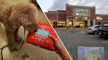 'That’s the bougiest Petco I’ve ever seen': The Farmer’s Dog customer ...