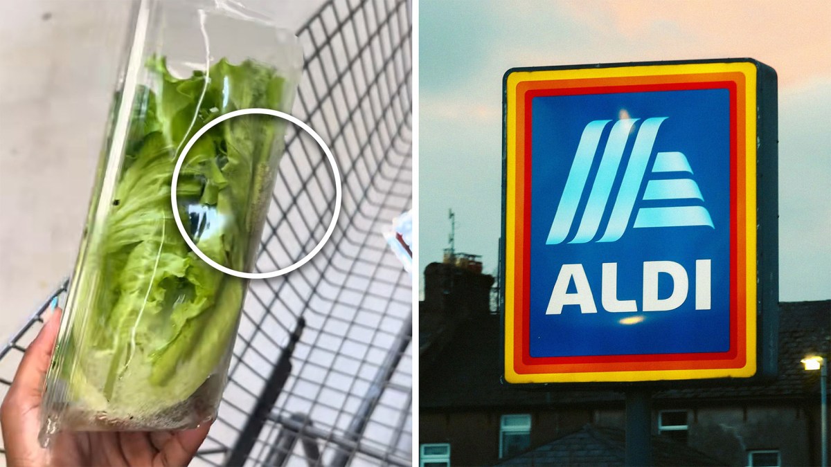What Was Inside This Aldi Shopper's Lettuce?