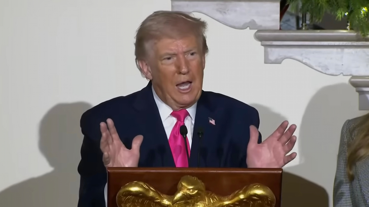 ‘Idiot’ is the word of choice for Donald Trump, according to his former ...