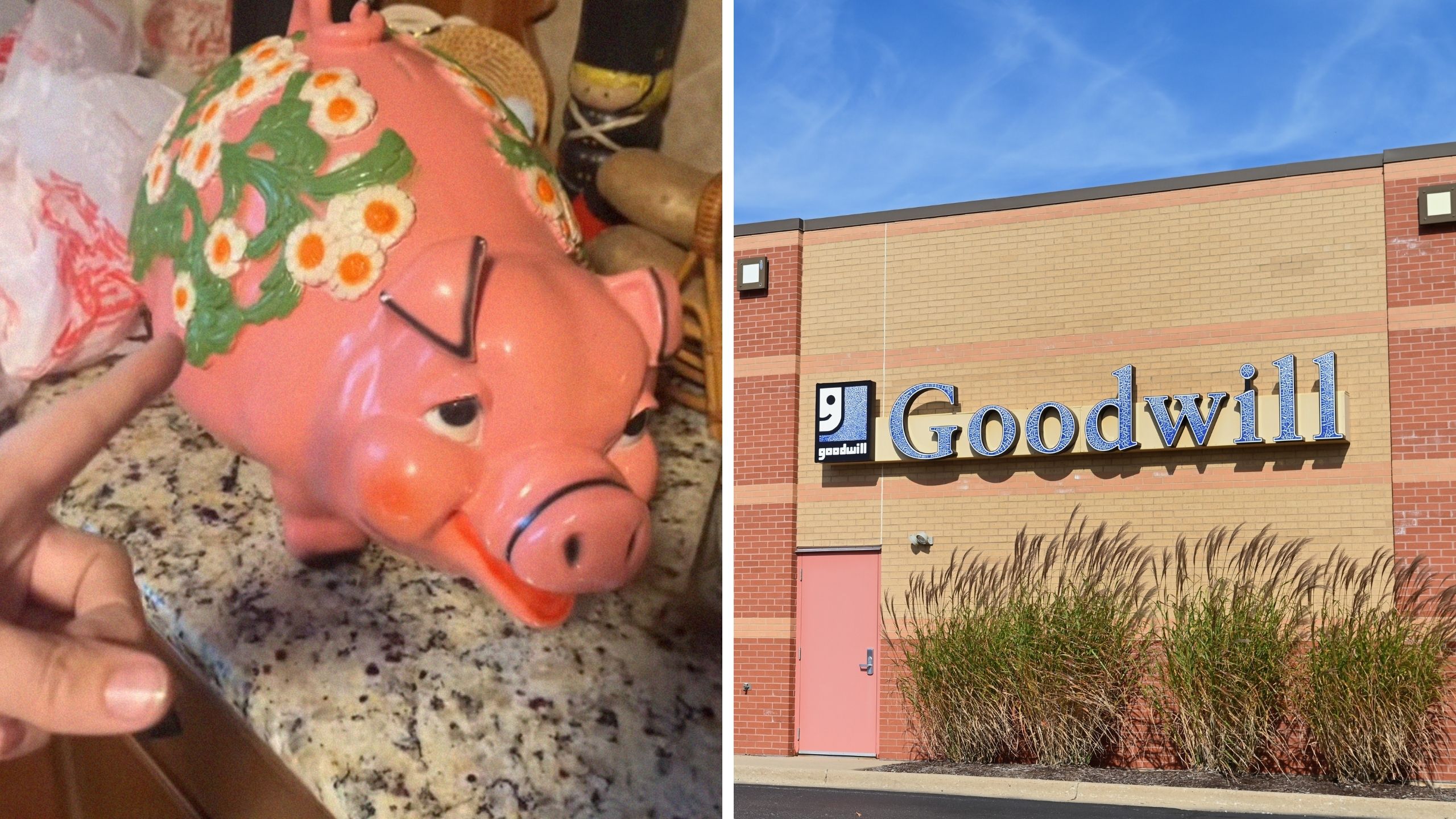 Did She Really Find Thousands Inside This Goodwill Piggy Bank?