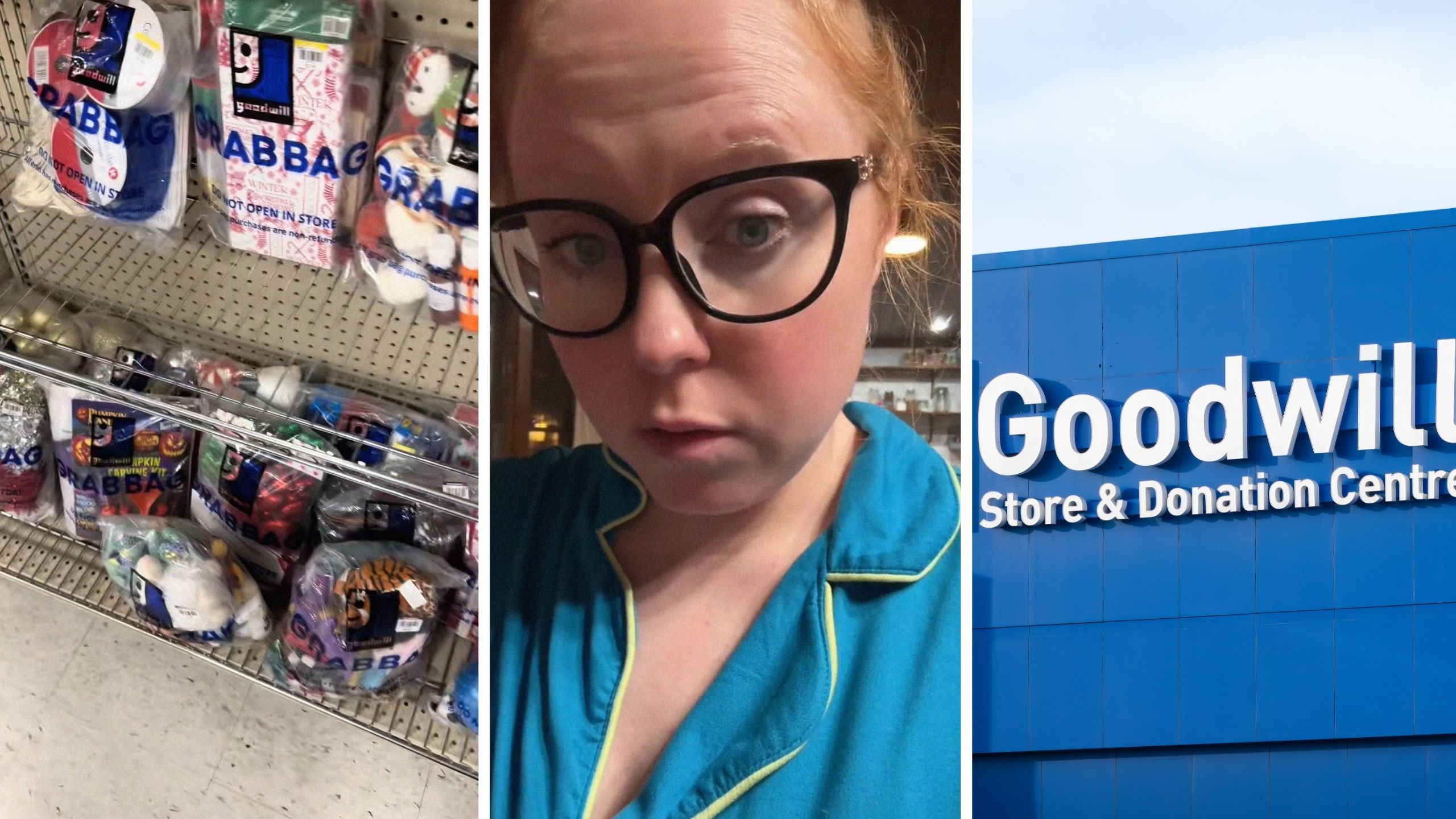 Why Doesn't Goodwill Put Little People Toys In Go Bags?