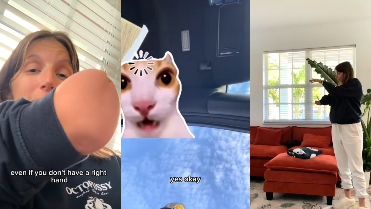 Woman on TikTok Gets a Ticket For 'Holding' a Phone With Her Right Hand ...