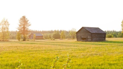 The Finnish Summer Tradition You Never Knew You Needed