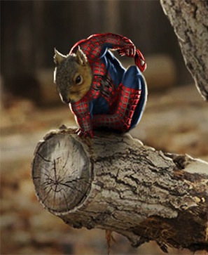 This Series of Superheroes and Villains As Squirrels Is Just Plain Nuts ...